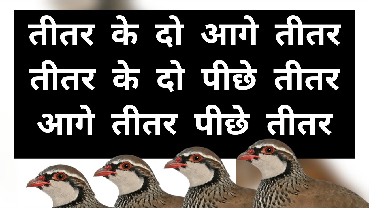 बोलो भाई कितने हुए | तीतर के दो आगे तीतर | titar k do aage teetar ...