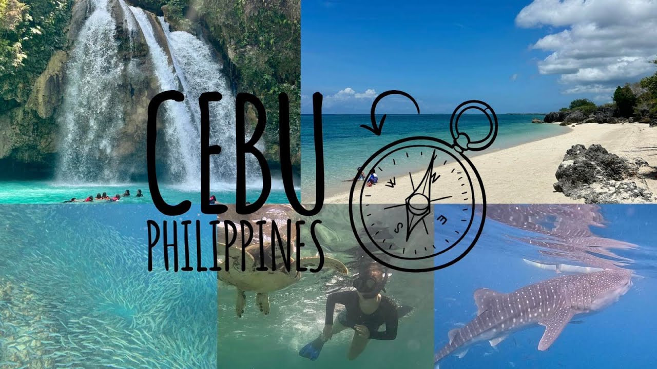 Cebu: Swimming with sea animals, canyoneering, lounging at pristine ...