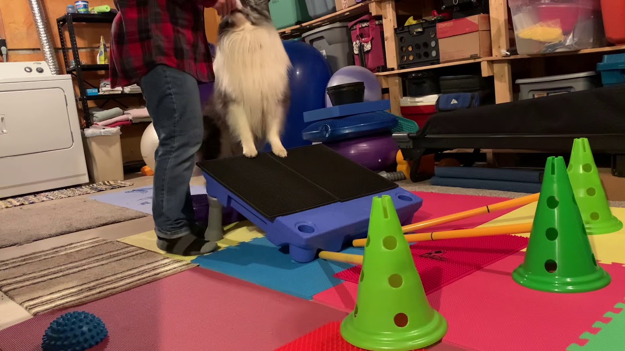 Circuit slanted klimb and stepping over bars - YouTube