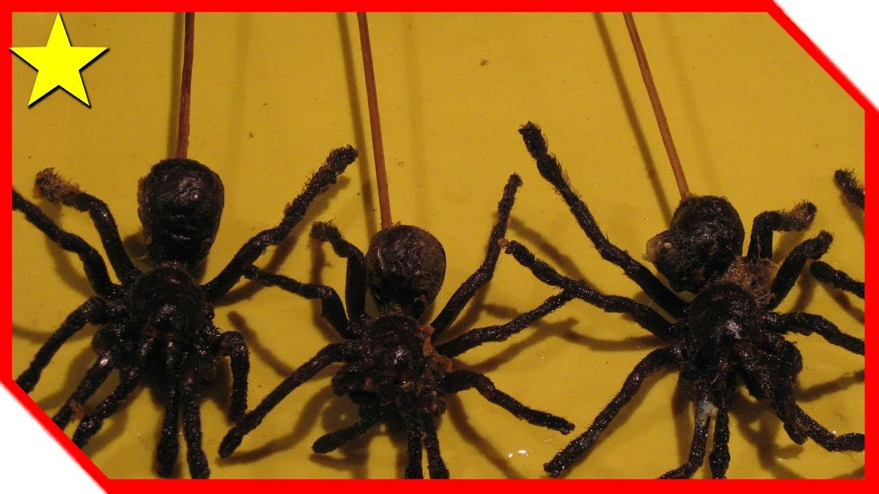 Beijing street food - What does spider taste like - YouTube