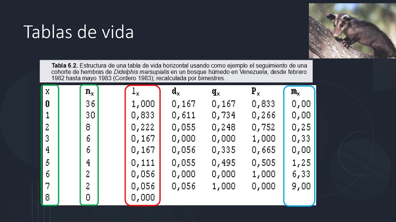 Estructura etaria - YouTube