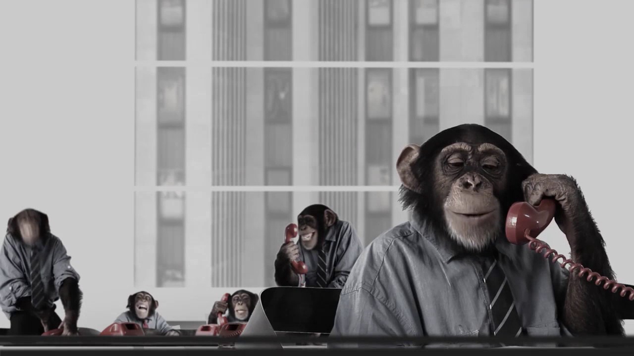 Workplace Monkeys Video - YouTube