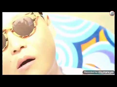 Hopa gangstar sty