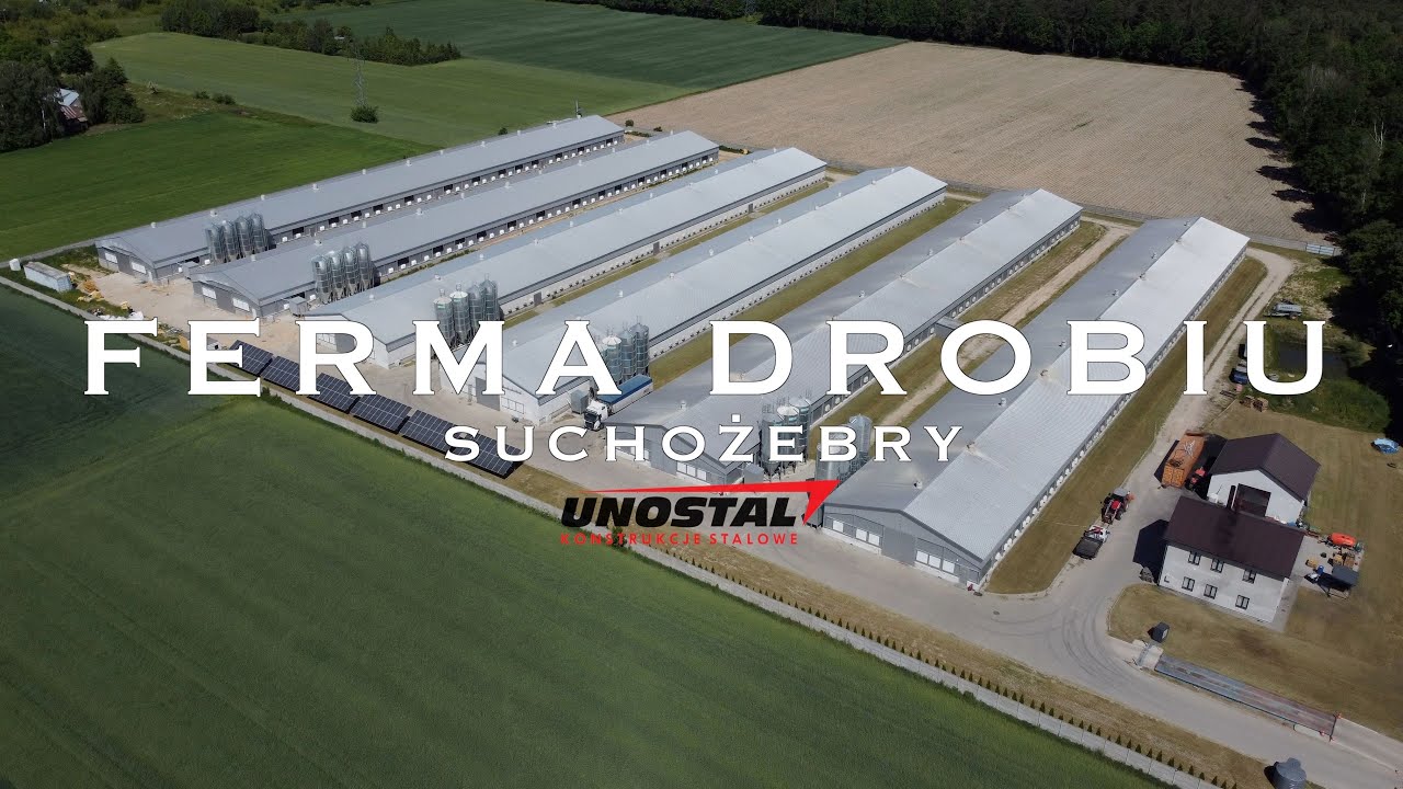 Ferma drobiu (Suchożebry) - YouTube