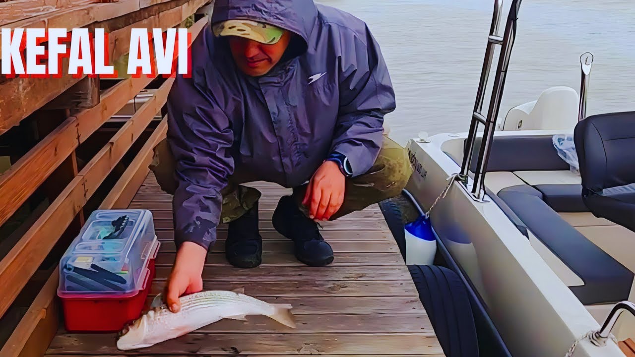 Kefal Avı - Şamandıralı Kefal Oltası - Yakala Pişir - Catch Cook - YouTube