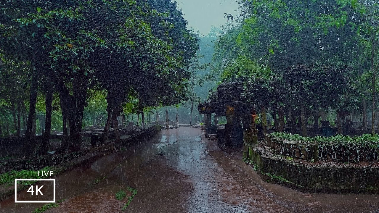 Soothing Rain Walk ASMR in the Park : Immersive Rainy Day Park Ambiance ...