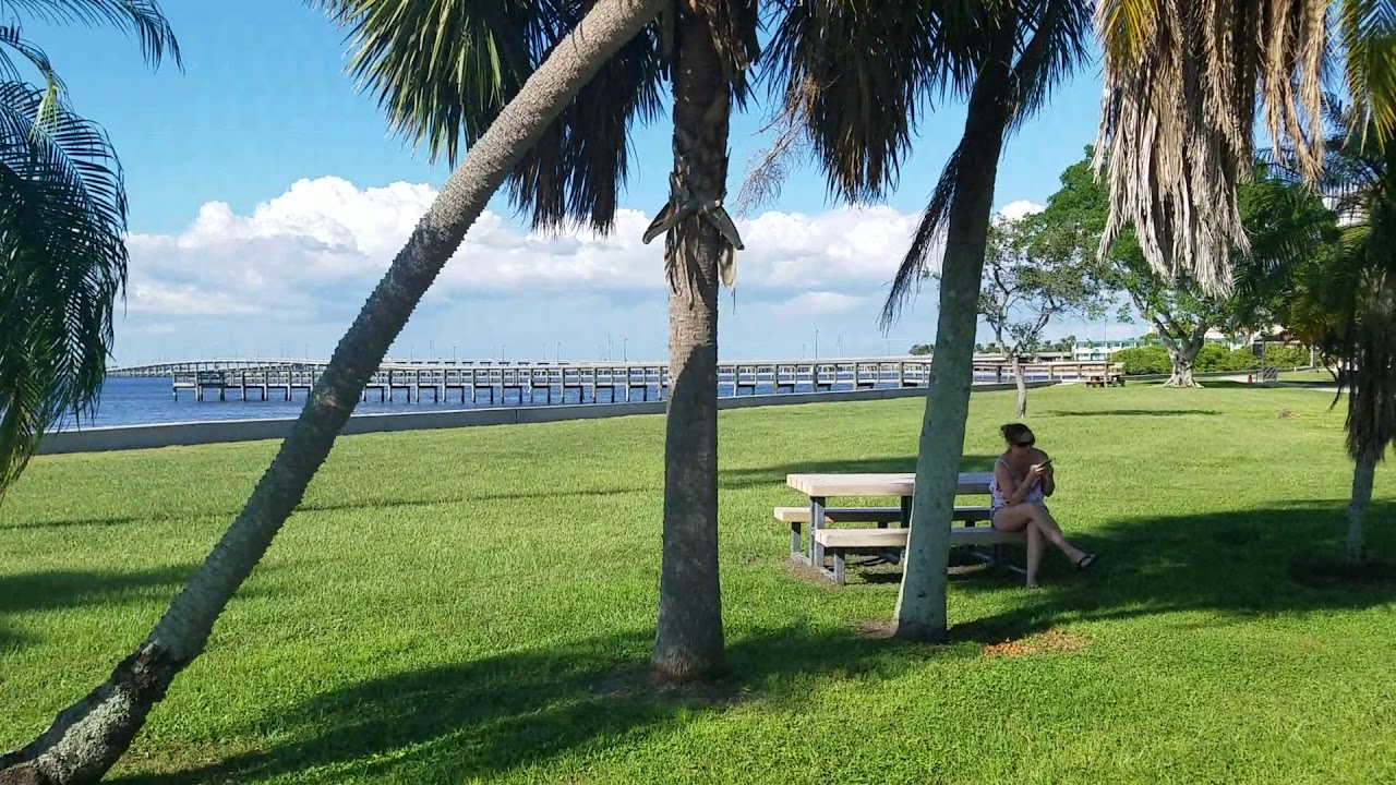 Why Old, Tall Coconut Palms Are Rare in Florida. - YouTube