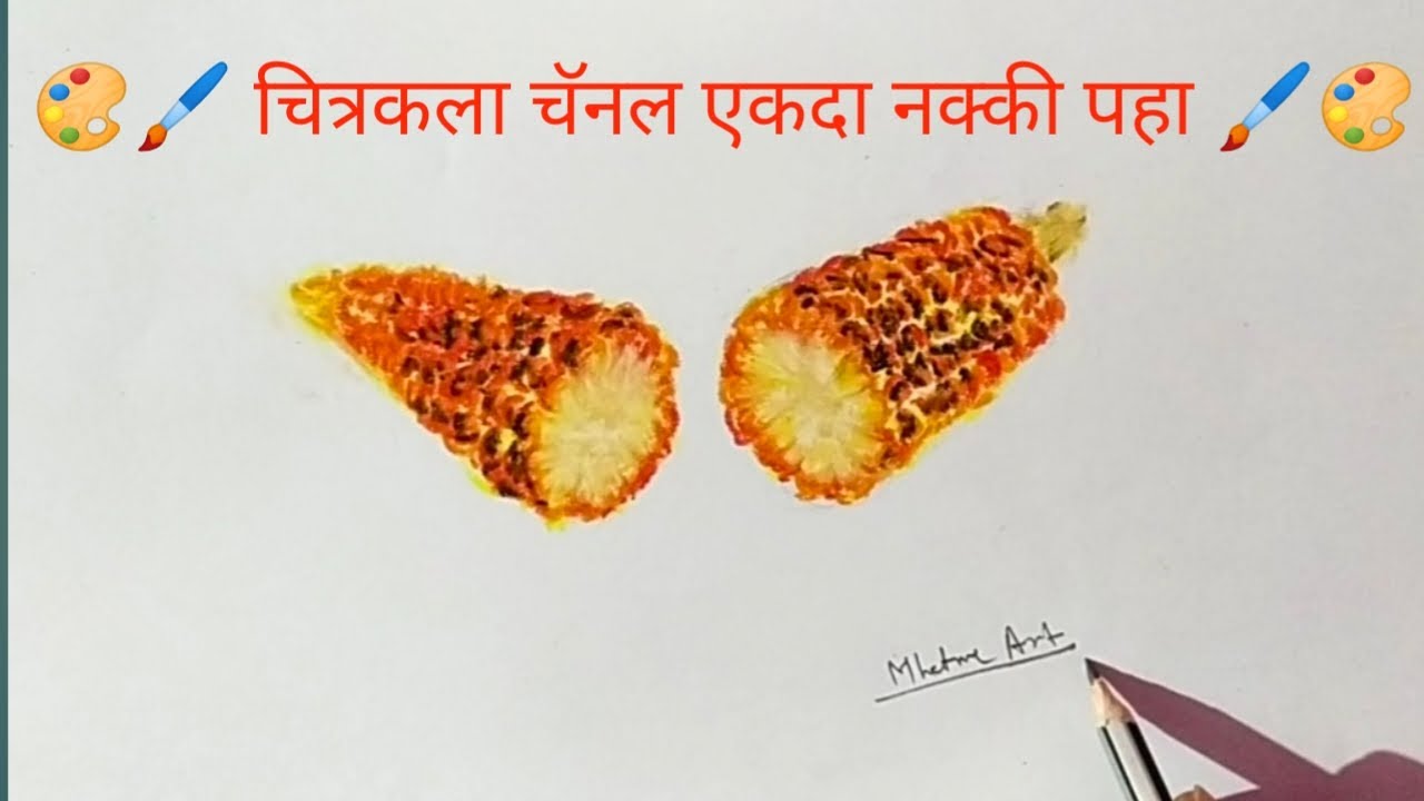 How To Draw Corn /Makka || How To Draw Corn /Makka Easy || How To Draw ...