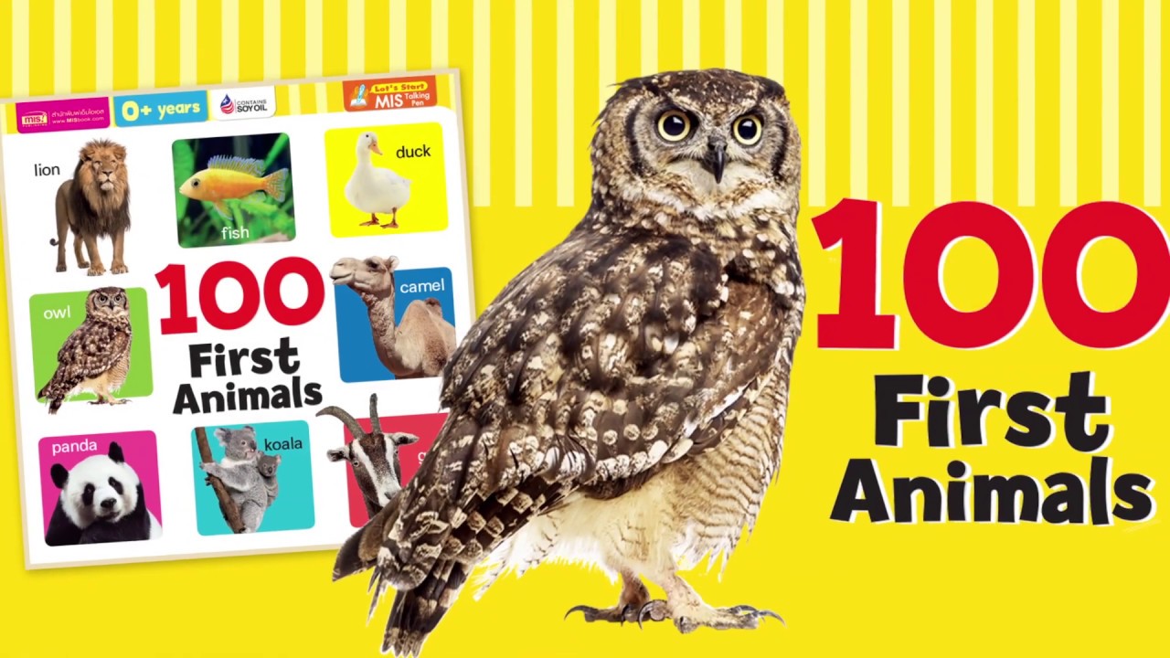 100 First Animal Board Book | MISbook - YouTube