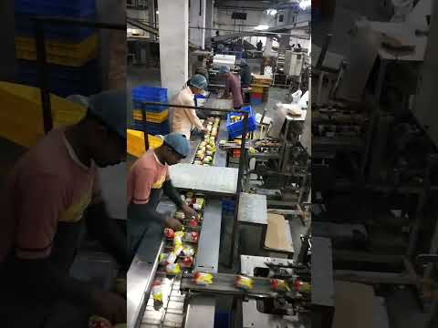 biscuit company working