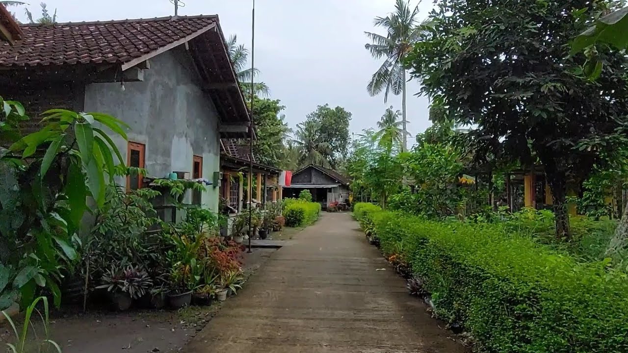 Indonesian Walk - Javanese Rural Village | Village Environment Walking ...