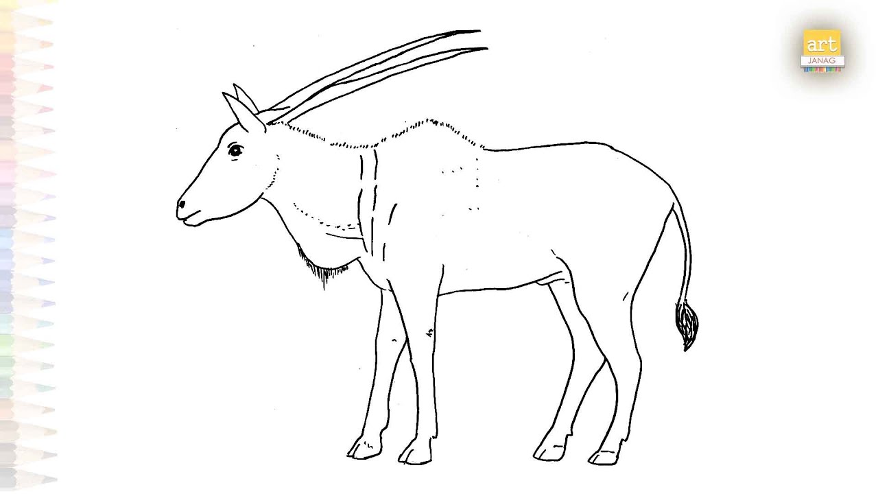 African Wild Antelope drawing easy | Outline sketches tutorial | How to ...