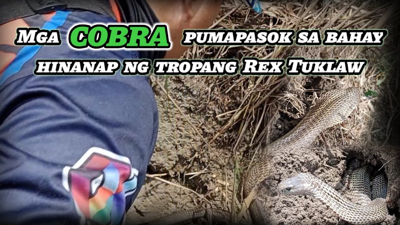 Mga COBRA pumapasok sa mga kabahayan ni RESCUE ng TROPANG REX TUKLAW ...