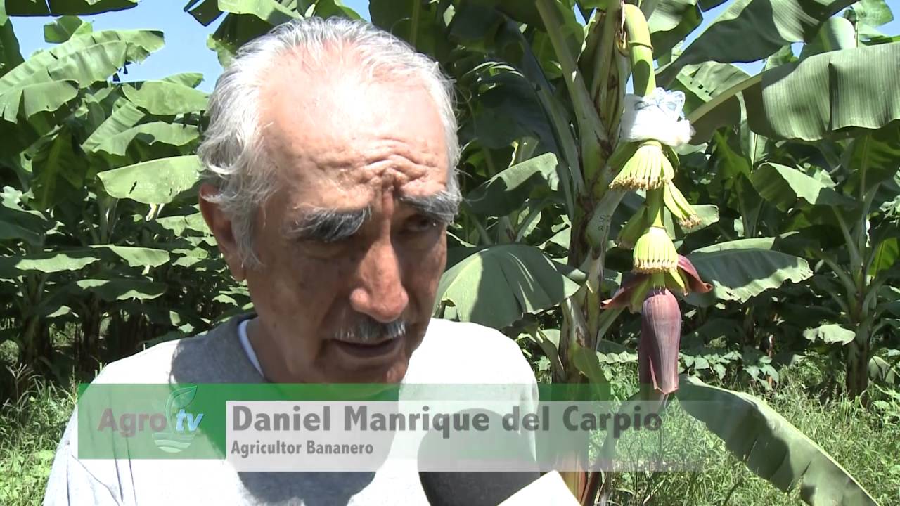 AgroTV - 179: Megaproyecto Olmos ya da resultados en Lambayeque - YouTube