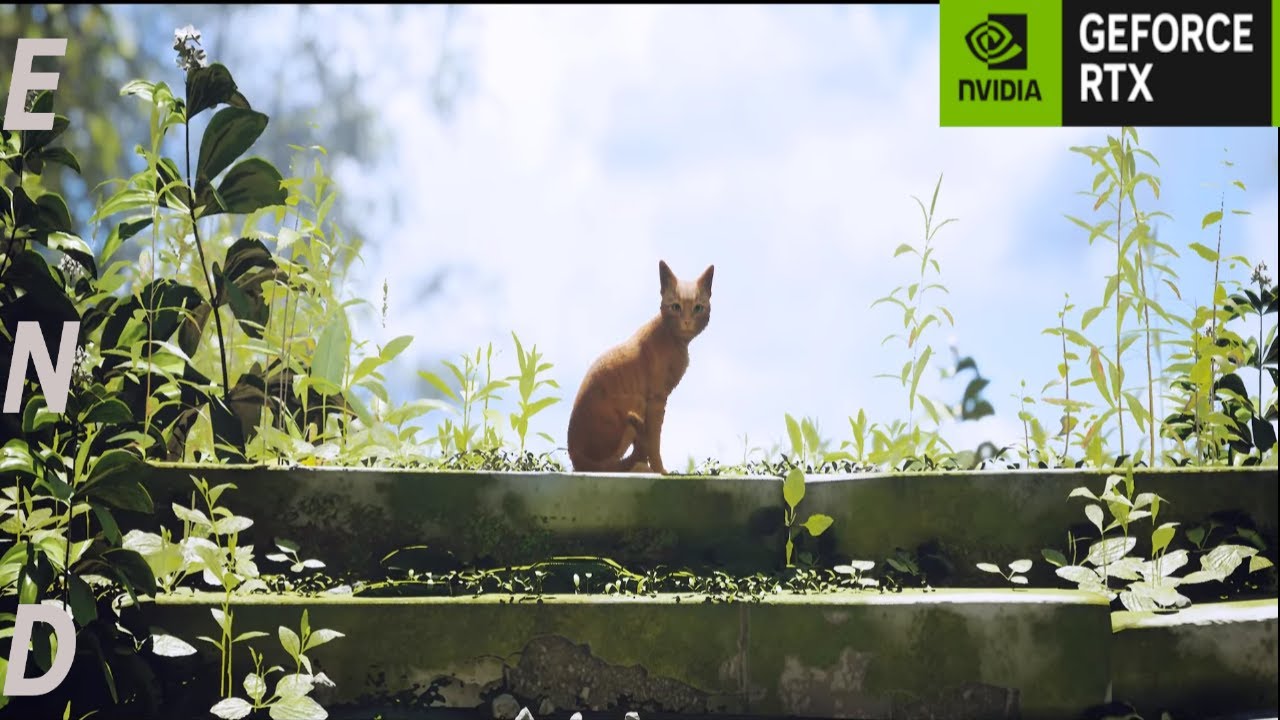 [Ray Tracing] Stray Episode 10 (Ending) - YouTube