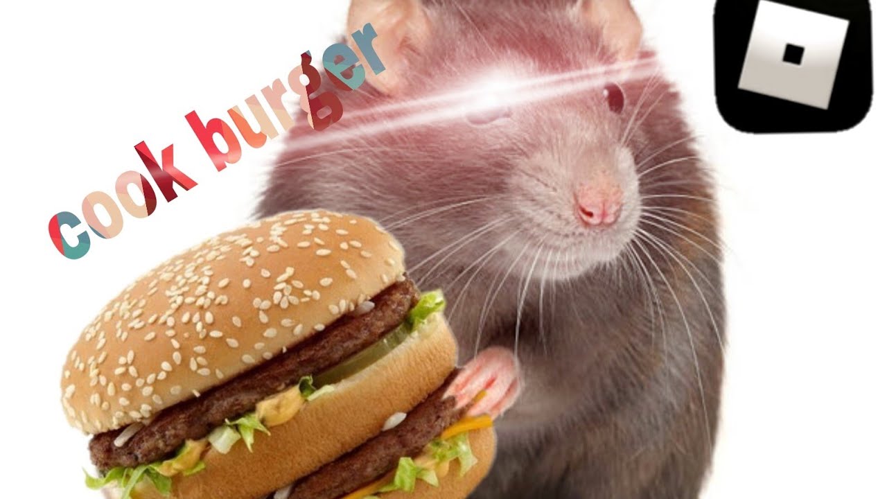 cook burger :roblox การทําเบอร์เกอร์สุดปวดหัว🍔 - YouTube