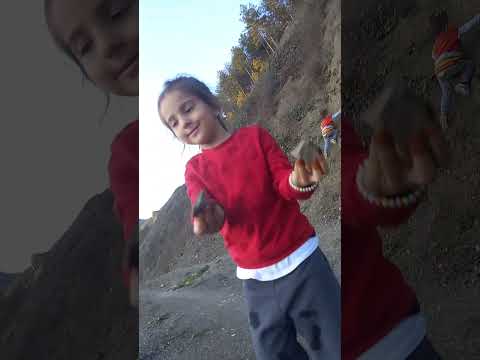 doğal hallerimiz#easycut #youtube #keşfet #8ballpool