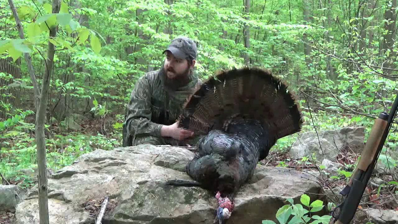 2017 Pa spring turkey hunt (MLO Brad) - YouTube