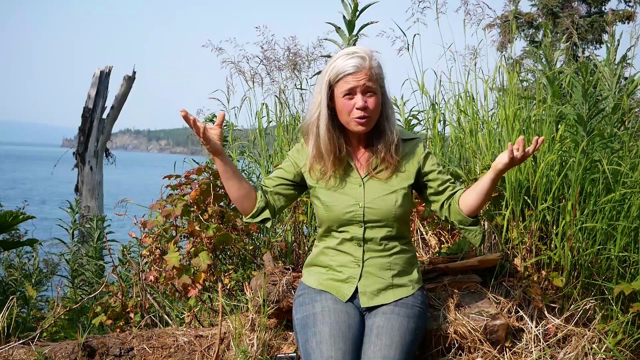 Filling in the gaps: Woniya about Episode 4, Season 6 of Alone - YouTube