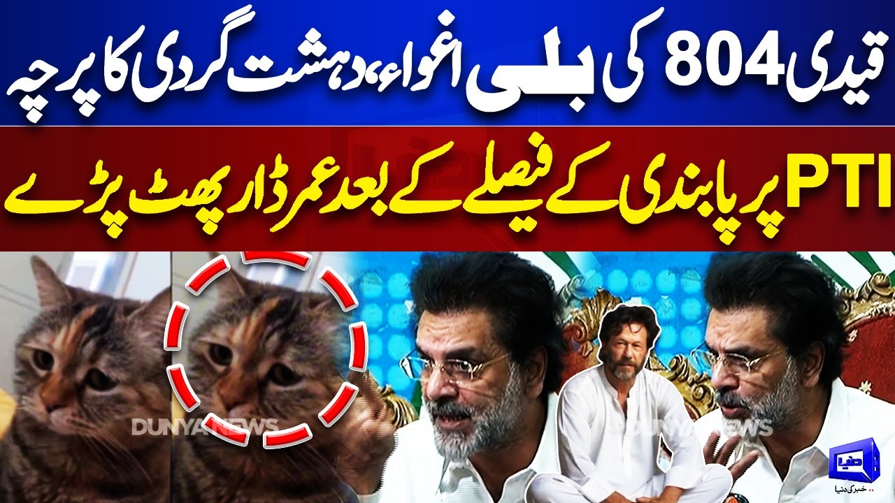 Qaidi 804 Ki Billi Aghwa | PTI's Umar Dar Fiery Press Conference Against Govt | Dunya News - YouTube