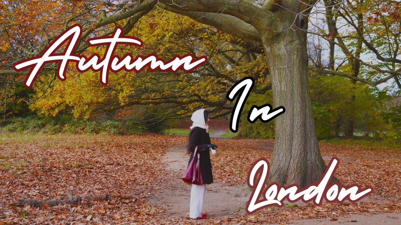 Fall in London | Hampstead Heath | Enjoying the Autumn Season in London ...