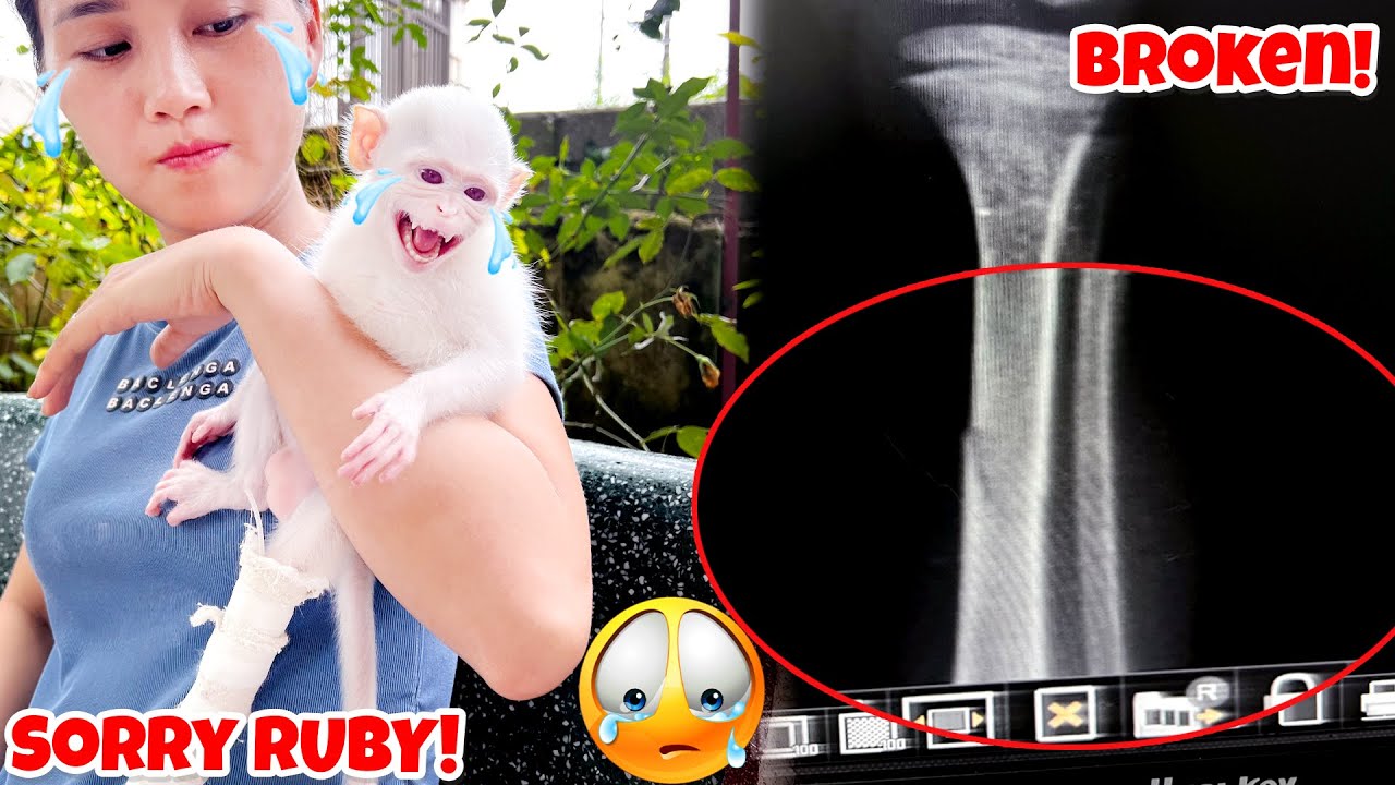Mom's Apology To Ruby! - YouTube
