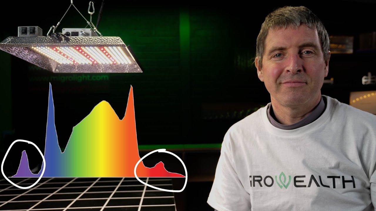 Growealth LED grow lights with UVA and Far Red and the Emerson effect ...