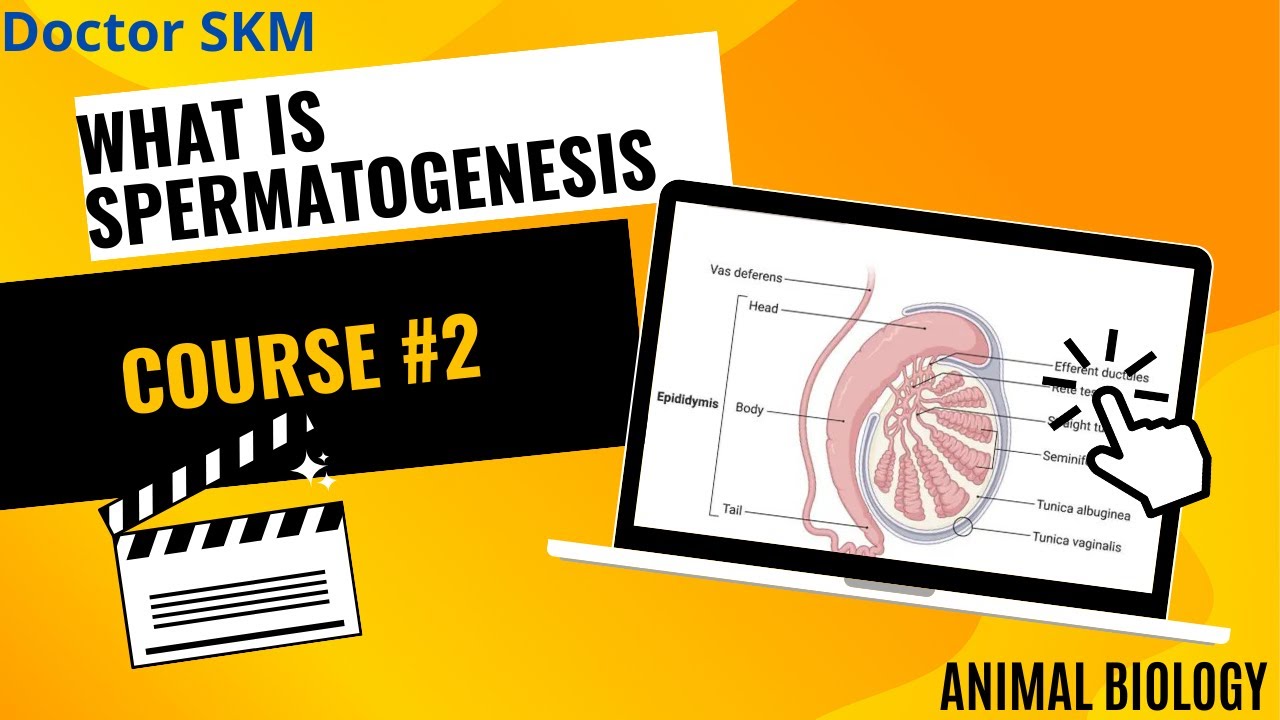 Let's continu with the #COURSE 02# - YouTube