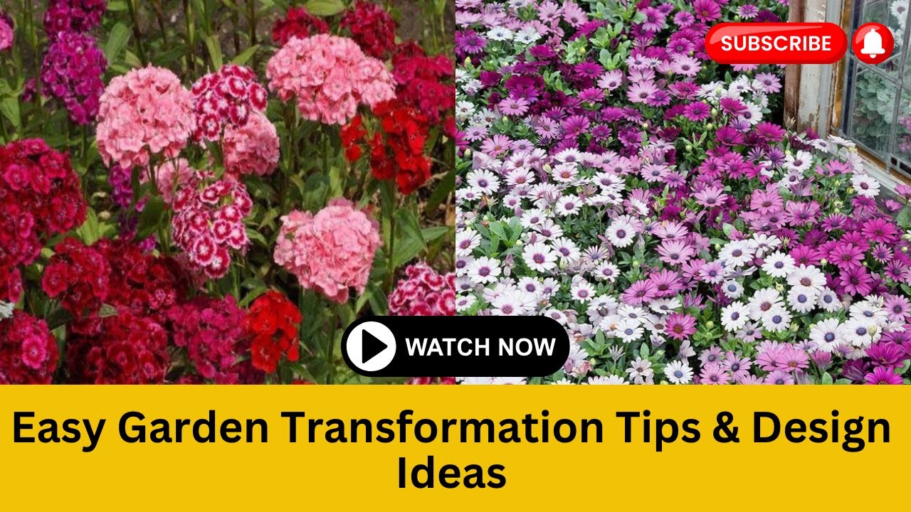 Create Your Haven with Garden Flowers | Easy Garden Transformation ...