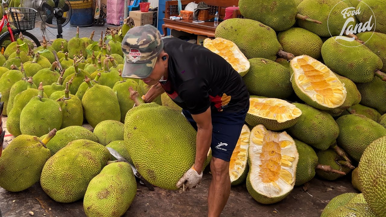 Giant Jackfruit 30+ Kun Wi Chan Jackfruit Seedss (Artocarpus