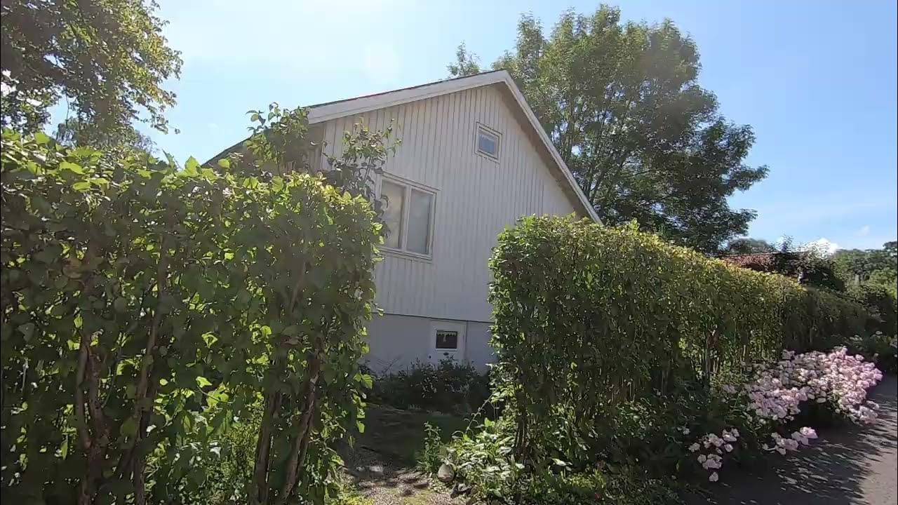 Walking around my neighborhood - YouTube