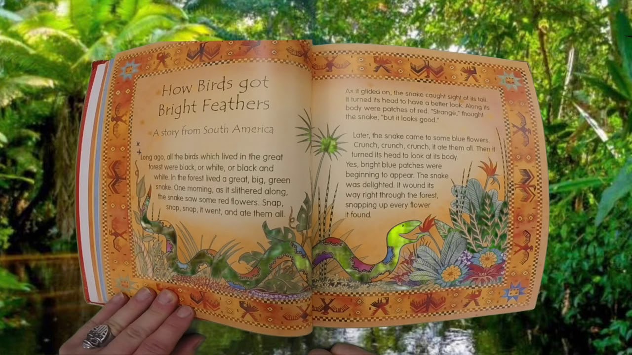 How Birds Got Bright Feathers | Fable | South America | Read Aloud ...