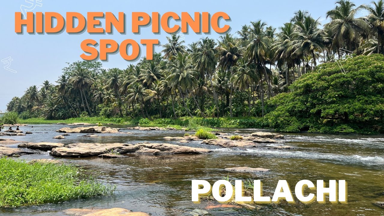 Hidden Picnic Spot | Coimbatore To Pollachi | Aathu Pollachi | Coconut ...
