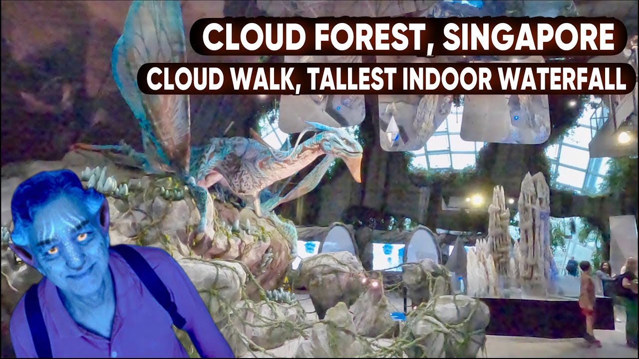 Cloud Forest, Singapore. Cloud walk, Tallest Indoor Waterfall, Avatar ...