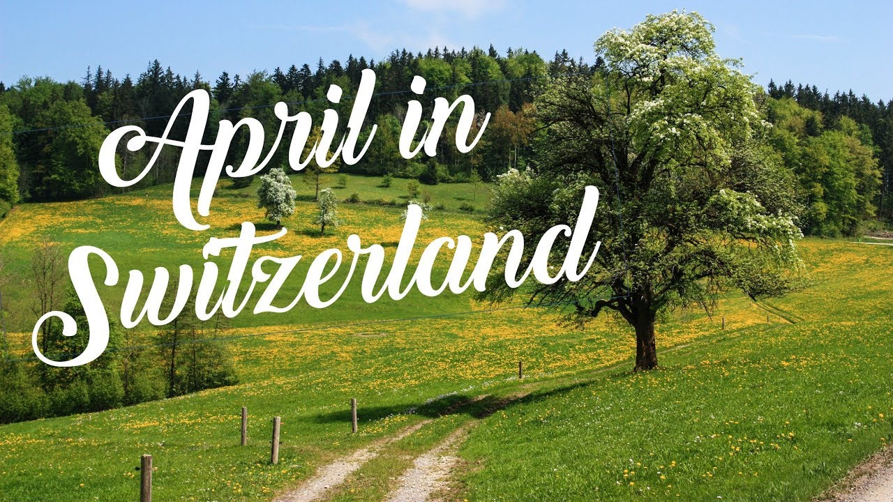 April for Families in Zurich Switzerland - YouTube