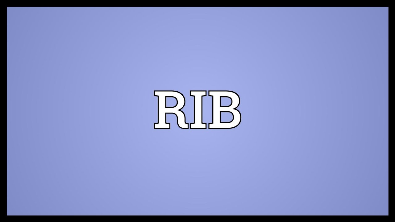 RIB Meaning YouTube rib-meaning-youtube