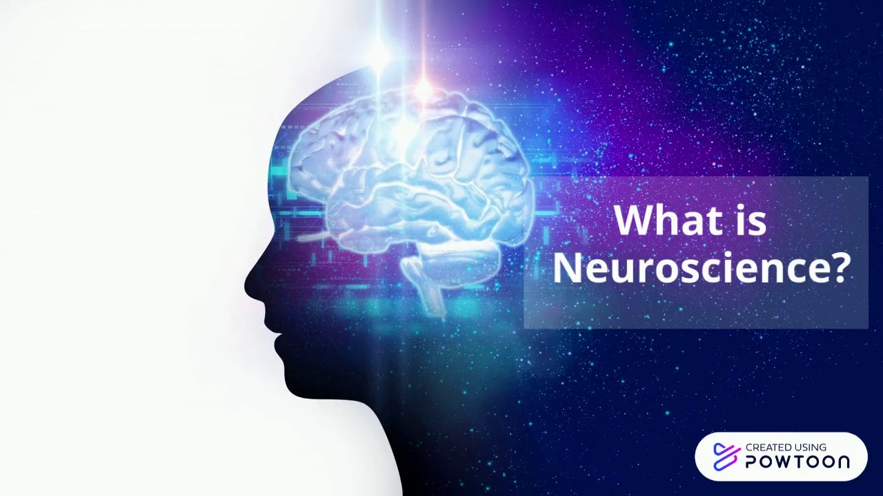 Neuroscience,application of graph theory - YouTube