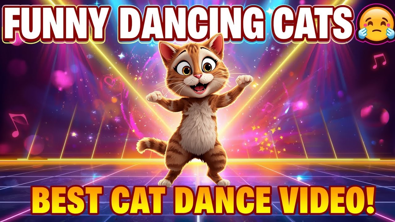 Funny Dancing Cats Compilation 😺💃 | Best Cat Dance Video 2025 - YouTube