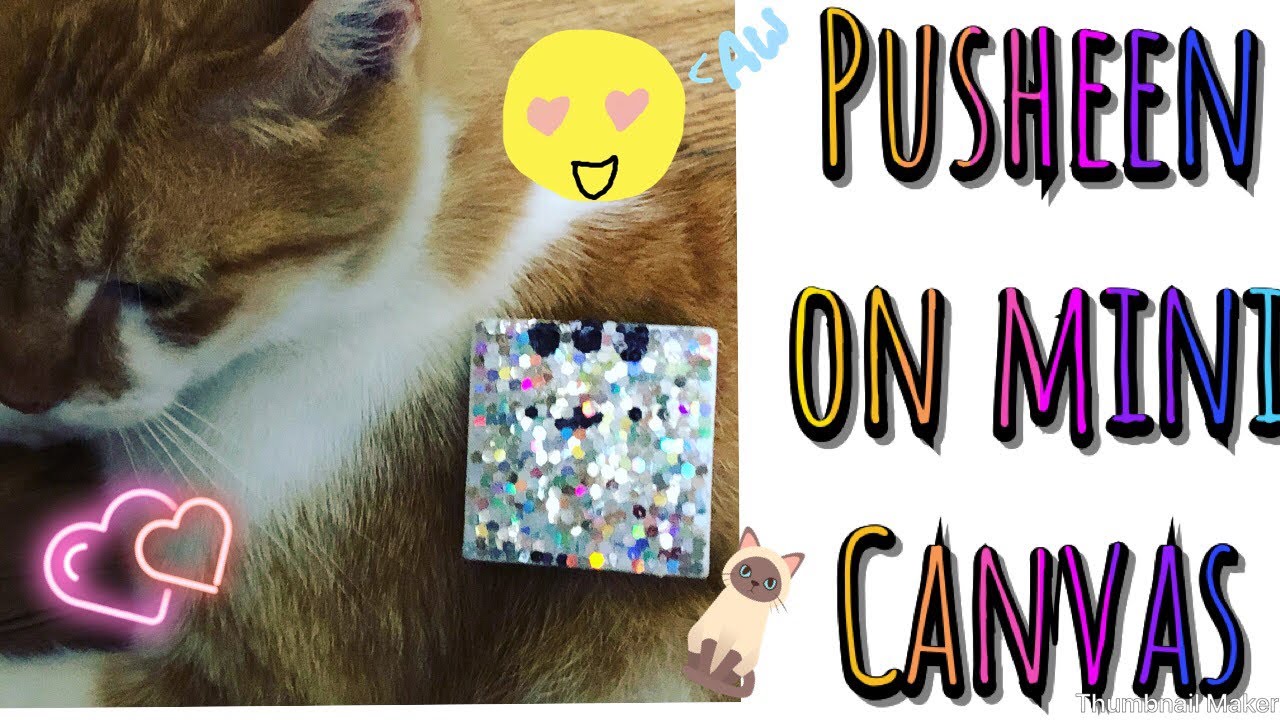 Pusheen on canvas glitter placement - YouTube