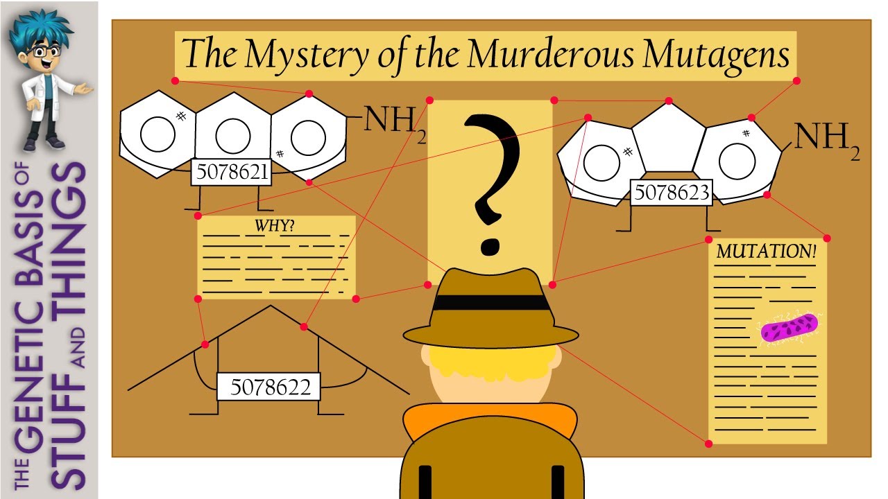 The Ames Test: How Bruce Ames used bacteria to solve the mystery of the ...