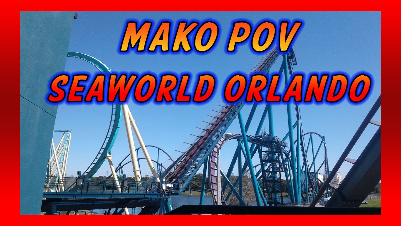 mako pov ( seaworld Orlando) - YouTube