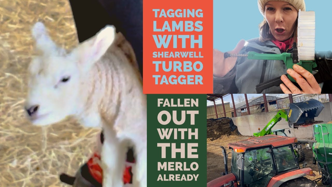 I’ve fallen out with the merlo already. What is this crazy 🔫 I’m using ...