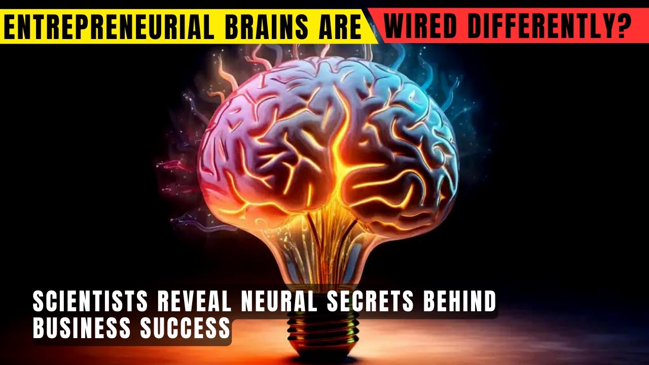 Entrepreneurial Brains Are Wired Differently Scientists Reveal Neural ...