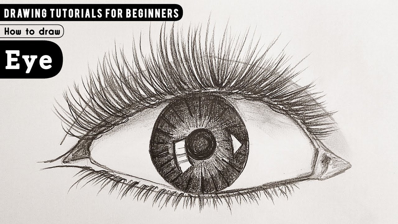 How to draw a realistic eye | Pencil sketch | drawing tutorials for ...