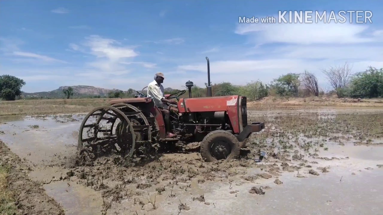 Different techniques in making land for Paddy field - YouTube