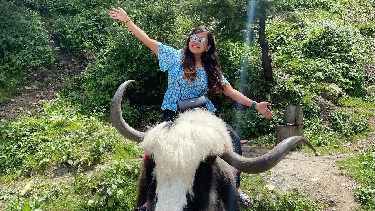 Chail wildlife sanctuary - YouTube