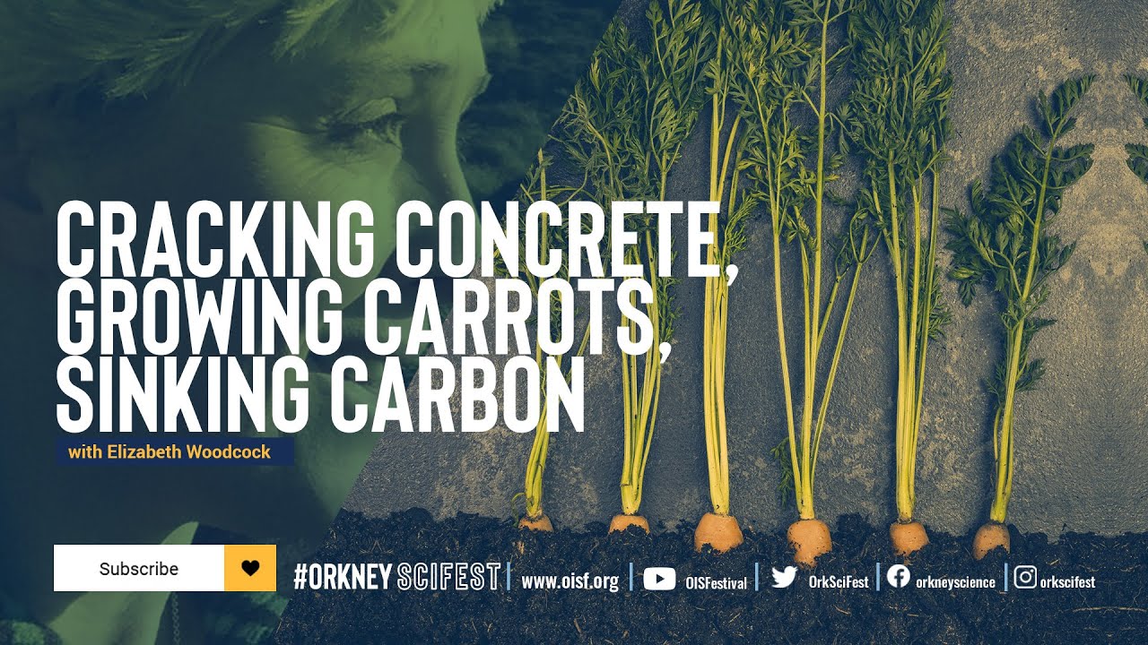 CRACKING CONCRETE, GROWING CARROTS, SINKING CARBON - YouTube