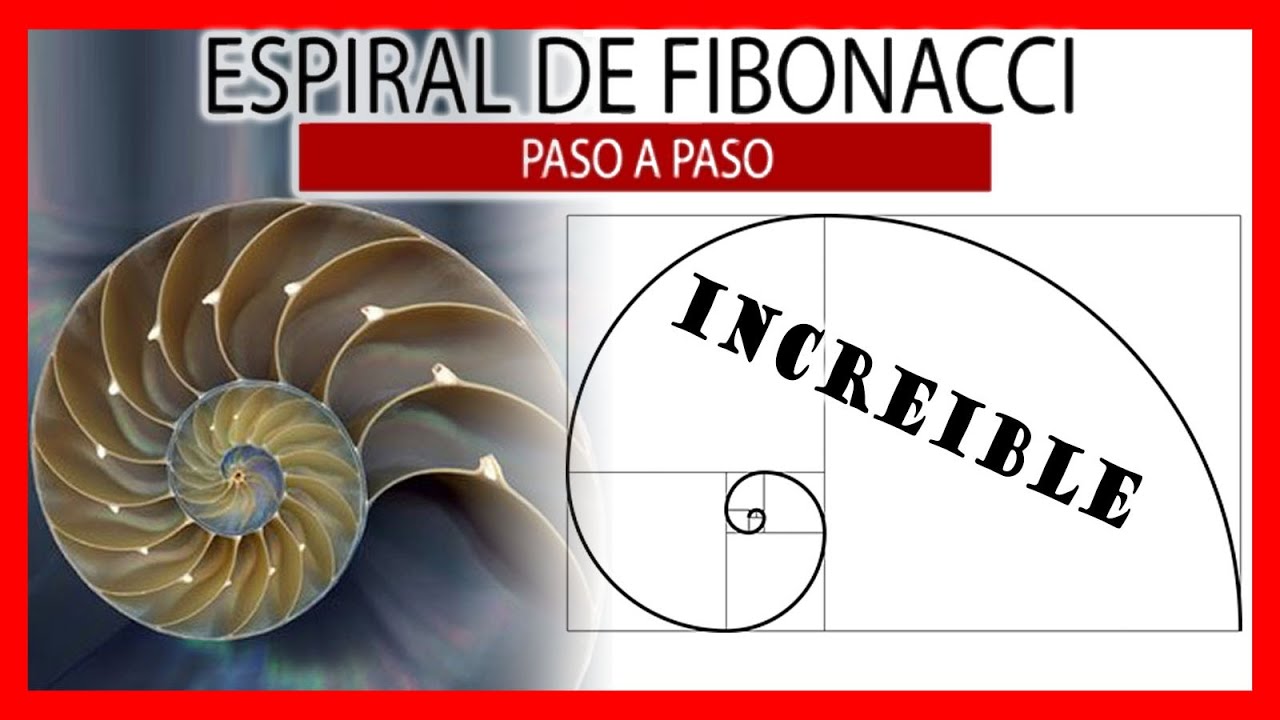 😵 ESPIRAL de FIBONACCI paso a paso 🌌 Espiral AUREA o de DURERO en la ...