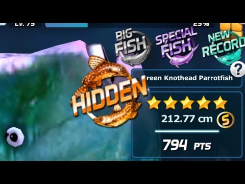 Ace Fishing : Green Knothead Parrotfish - YouTube