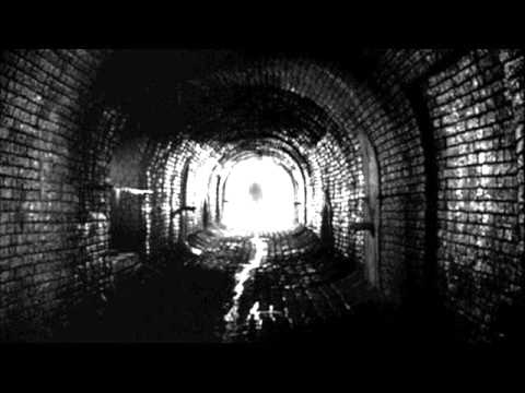 Vinterriket - Seelenleere